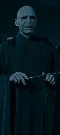Lord Voldemort | Darkness Not Light Wiki | Fandom