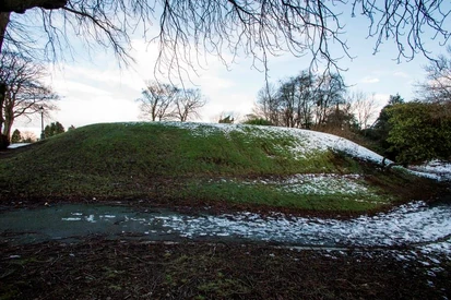 Clã Comyn | Wiki Darkover | Fandom