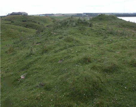 Clã Comyn | Wiki Darkover | Fandom