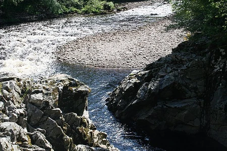 Clã Comyn | Wiki Darkover | Fandom