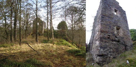 Clã Comyn | Wiki Darkover | Fandom