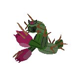 Briack | Pokemon Dark Rift Wikia | Fandom