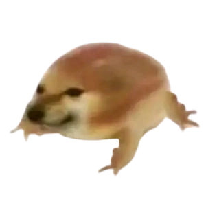 Doog | Darkrooms Wiki | Fandom