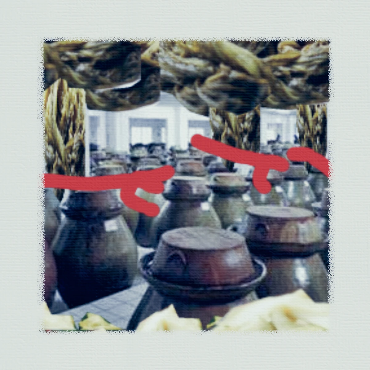 Ghost 19 | Darkrooms Wiki | Fandom