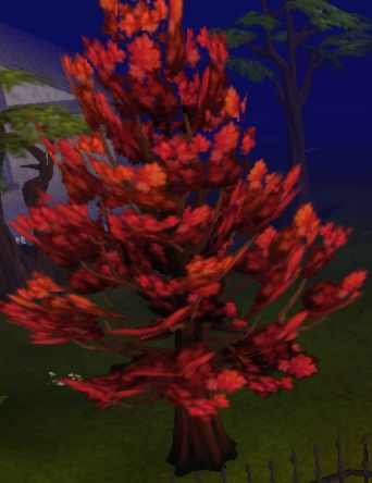 Maple Tree | DarkScape Wiki | Fandom