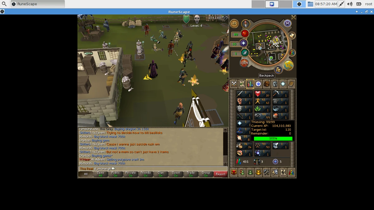 Thieving master cape | DarkScape Wiki | Fandom