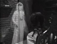 Victoria Winters | The Dark Shadows Wiki | Fandom