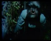 Quentin Collins | The Dark Shadows Wiki | Fandom