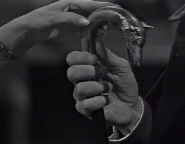 Wolf's-head cane | The Dark Shadows Wiki | Fandom