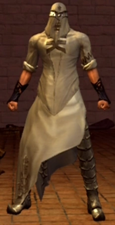 Painting Guardian Robe | Dark Souls Wiki | Fandom