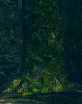 Possessed Tree | Dark Souls Wiki | Fandom