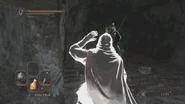 Rat King (covenant) | Dark Souls Wiki | Fandom