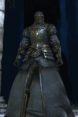 Targray's Set | Dark Souls Wiki | Fandom
