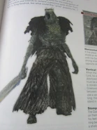 Giant Lord | Dark Souls Wiki | Fandom