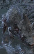 Hound Rat | Dark Souls Wiki | Fandom