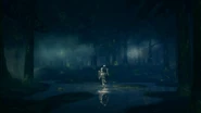 Darkroot Garden | Dark Souls Wiki | Fandom