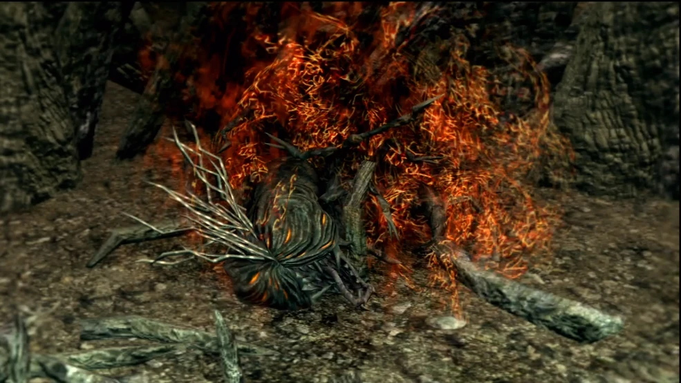 Quelana Of Izalith Dark Souls Wiki