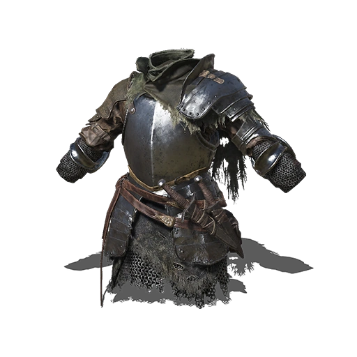 Image Harald Legion Knight 01jpg Dark Souls Wiki Harald Legion Knight