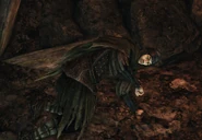 Cale the Cartographer | Dark Souls Wiki | Fandom
