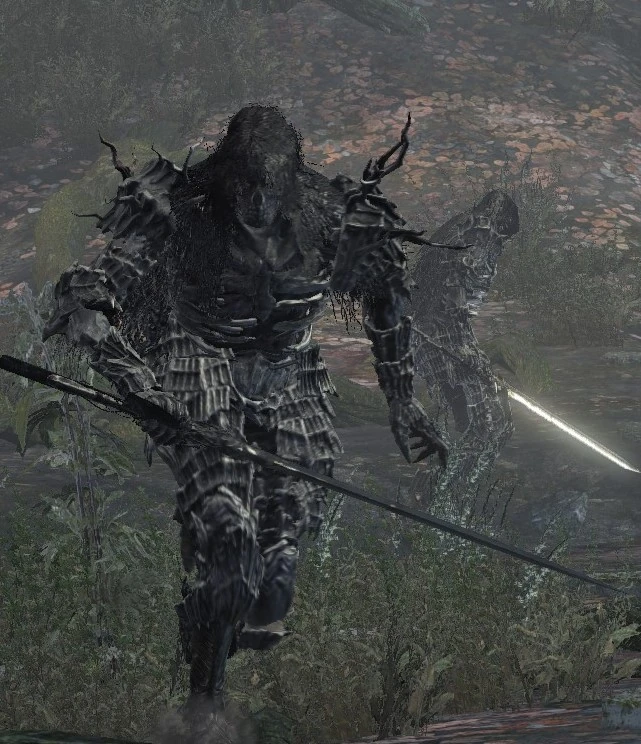 Darkwraith (Dark Souls III) | Dark Souls Wiki | Fandom