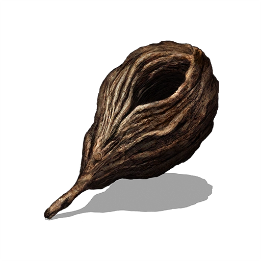 Seed of a Giant Tree | Dark Souls Wiki | Fandom