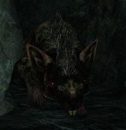 Rat King (character) | Dark Souls Wiki | Fandom