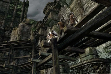 Chloanne Stone Trader