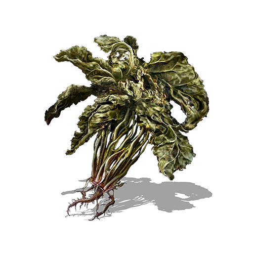 Green Blossom (Dark Souls III) | Dark Souls Wiki | Fandom