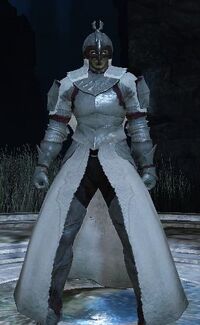 Throne Watcher Set | Dark Souls Wiki | Fandom