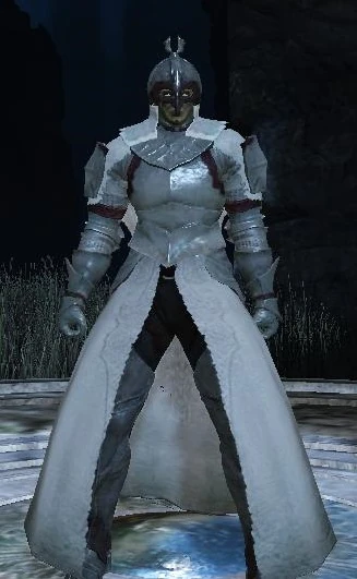 Throne Watcher Set | Dark Souls Wiki | Fandom