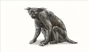 Kobold | Dark Souls Wiki | Fandom