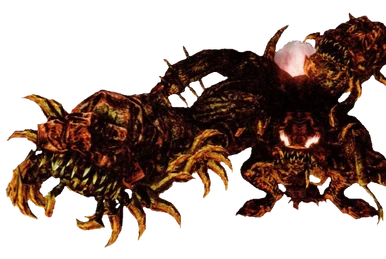 sunlight maggot not dropping