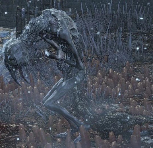 Forlorn Corvian Settler | Dark Souls Wiki | Fandom