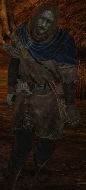 Undead Traveler | Dark Souls Wiki | Fandom