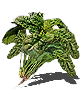 Green Blossom | Dark Souls Wiki | Fandom