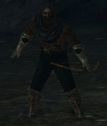Rogue | Dark Souls Wiki | Fandom