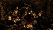 The Catacombs | Dark Souls Wiki | Fandom