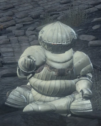 Siegward of Catarina | Dark Souls Wiki | Fandom