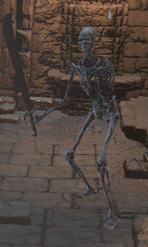 Skeleton (Dark Souls III) | Dark Souls Wiki | Fandom