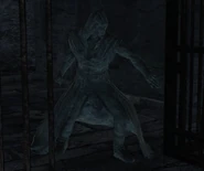 Straid of Olaphis | Dark Souls Wiki | Fandom