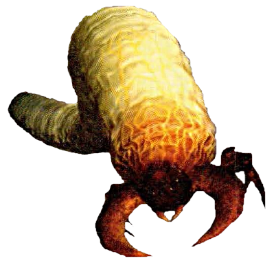 Vile Maggot | Dark Souls Wiki | Fandom