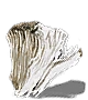 Elizabeth's Mushroom | Dark Souls Wiki | Fandom
