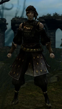 Brigand Set | Dark Souls Wiki | Fandom