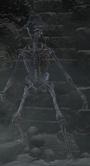 Skeleton (Dark Souls III) | Dark Souls Wiki | Fandom