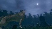 Great Grey Wolf Sif | Dark Souls Wiki | Fandom