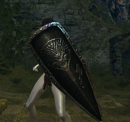Balder Shield | Dark Souls Wiki | Fandom