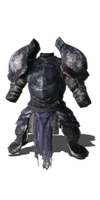 Alonne Knight Captain | Dark Souls Wiki | Fandom