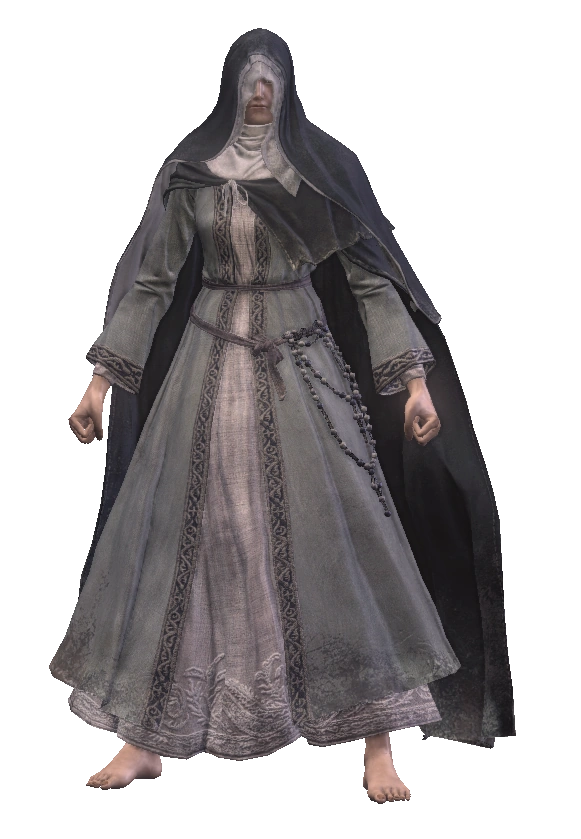 Ordained Set | Dark Souls Wiki | Fandom