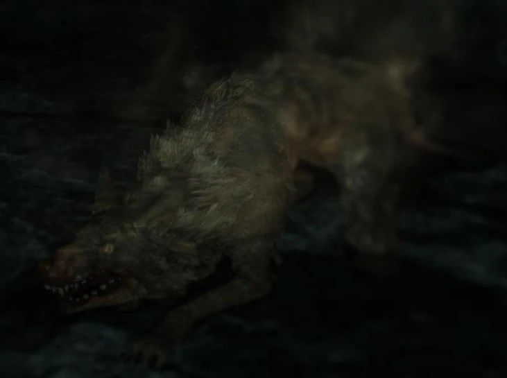 Dog Rat | Dark Souls Wiki | Fandom