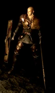 Patches | Dark Souls Wiki | Fandom